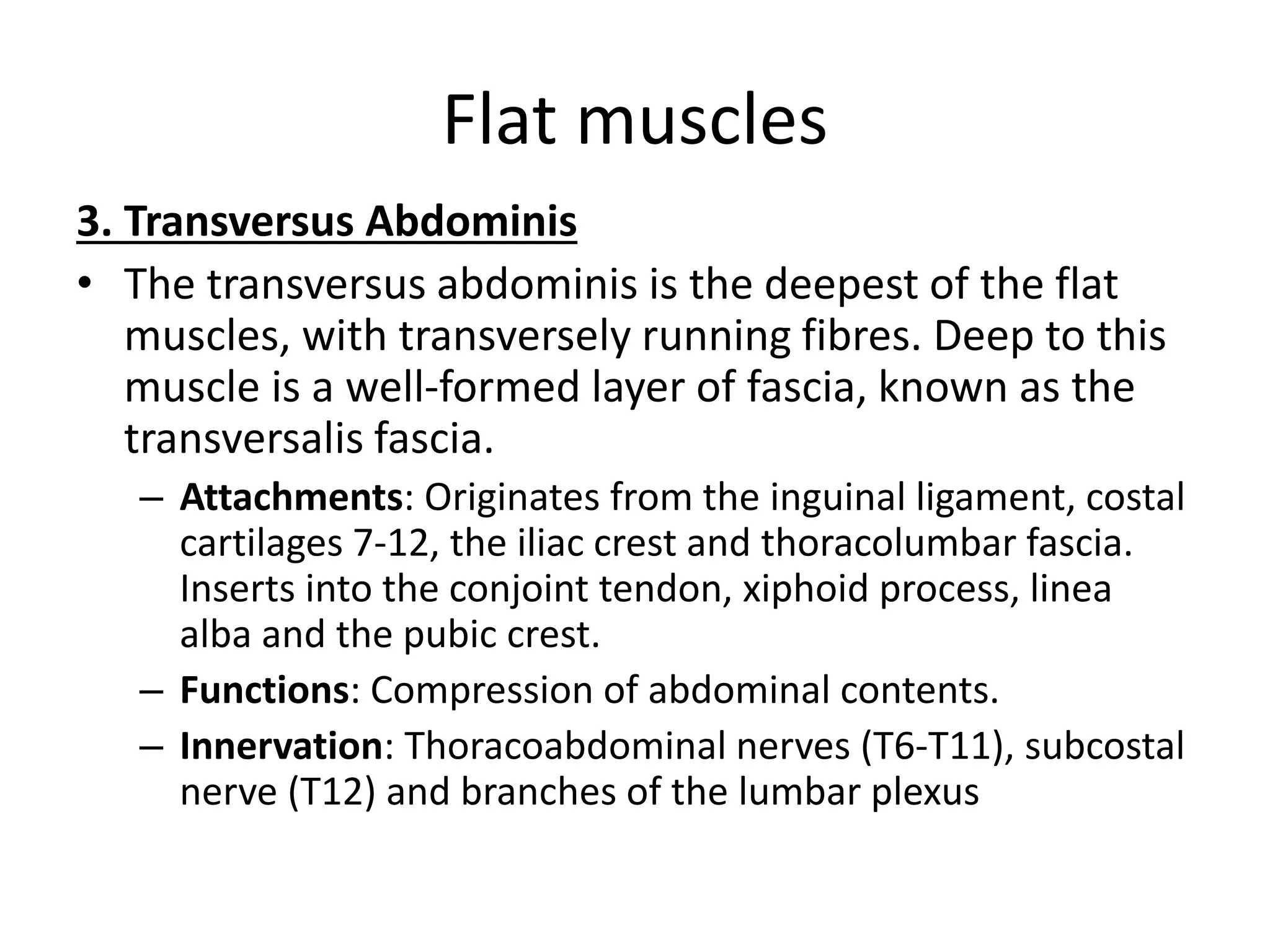 ABDOMINAL WALL(0).pptx