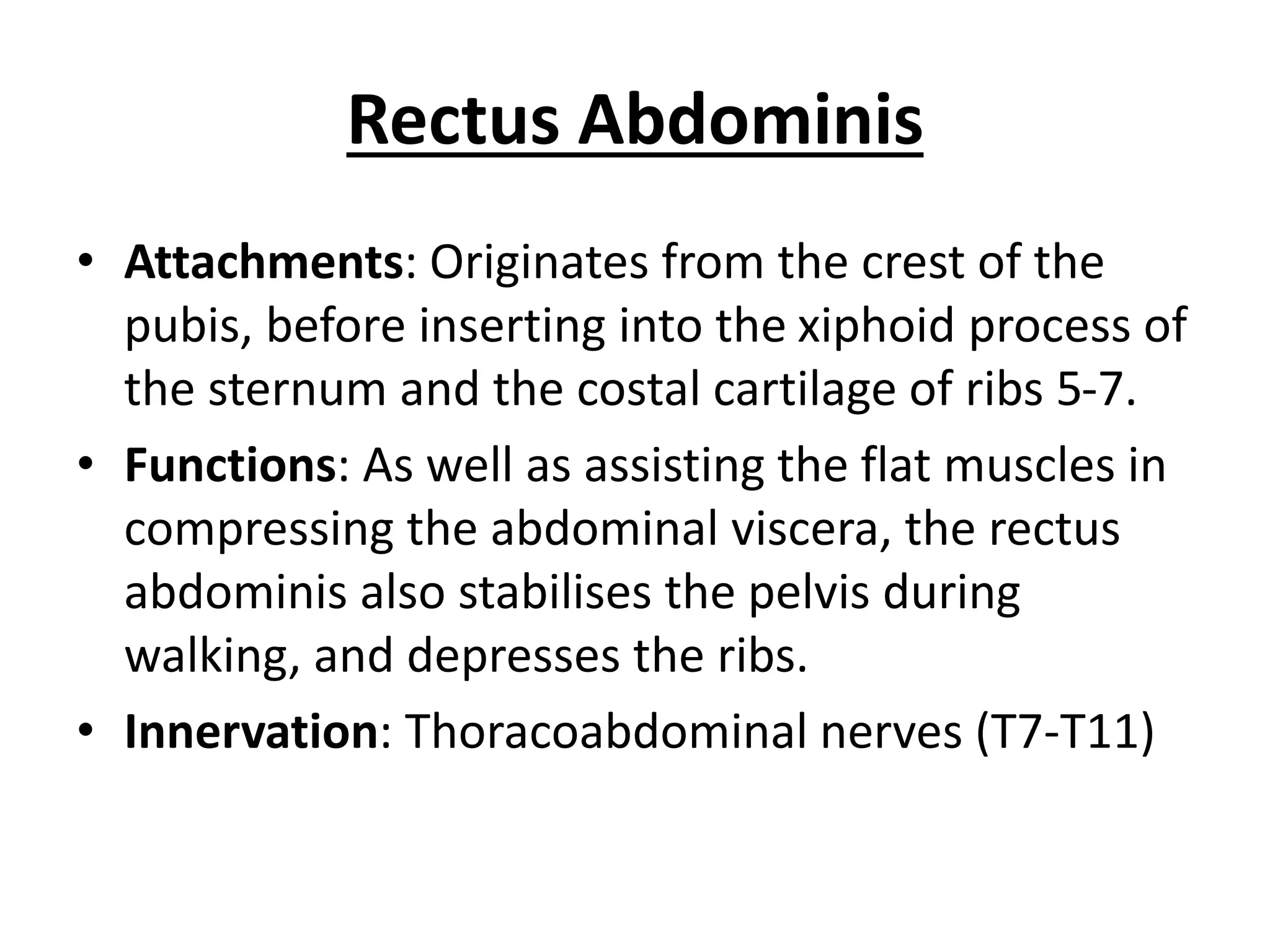 ABDOMINAL WALL(0).pptx