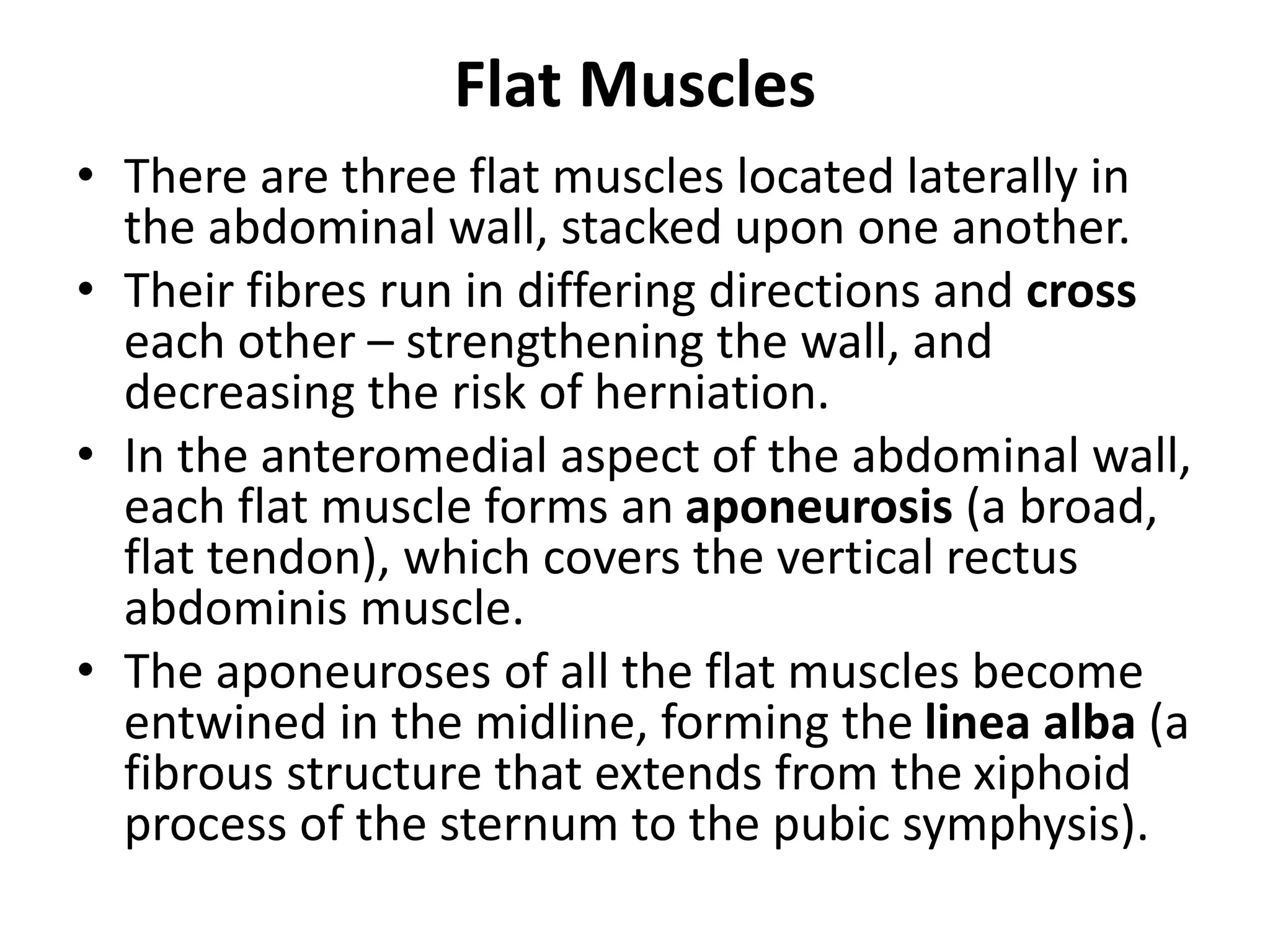 ABDOMINAL WALL(0).pptx