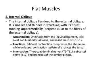 ABDOMINAL WALL(0).pptx