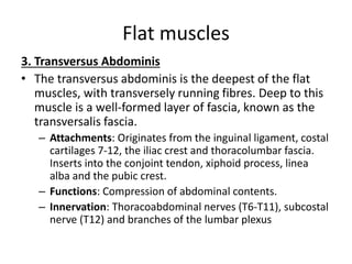 ABDOMINAL WALL(0).pptx