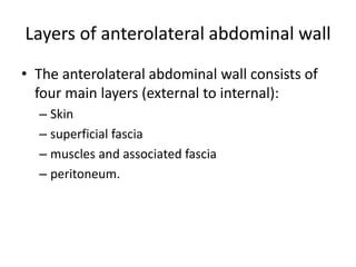 ABDOMINAL WALL(0).pptx