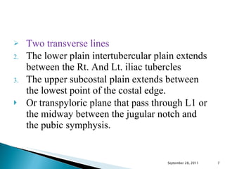 Abdominal wall 1 | PPT