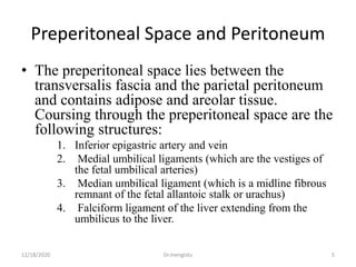 Abdominal wall tumors | PPTX
