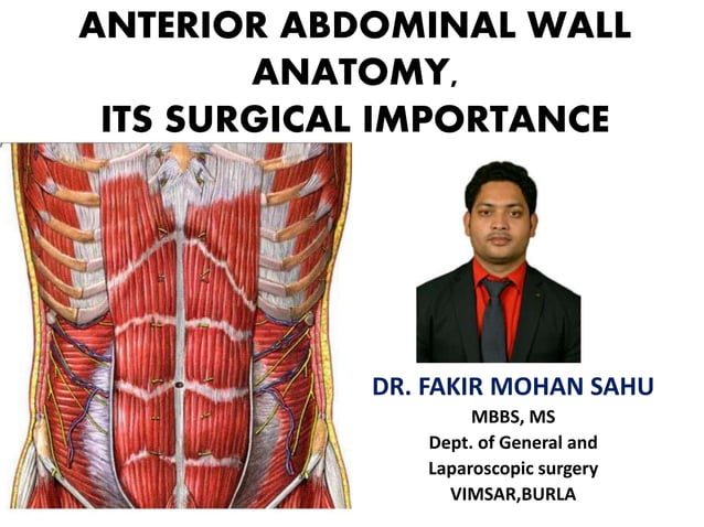Abdominal wall anatomy and its clinical importance | PPTX | Pregnancy ...