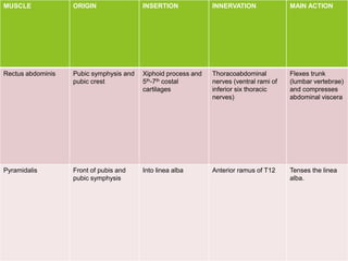ABDOMINAL WALL ANATOMY.pptx