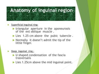 ABDOMINAL WALL ANATOMY.pptx