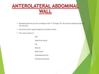 ABDOMINAL WALL ANATOMY.pptx