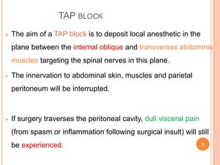 abdominal wall anatomy..ppt