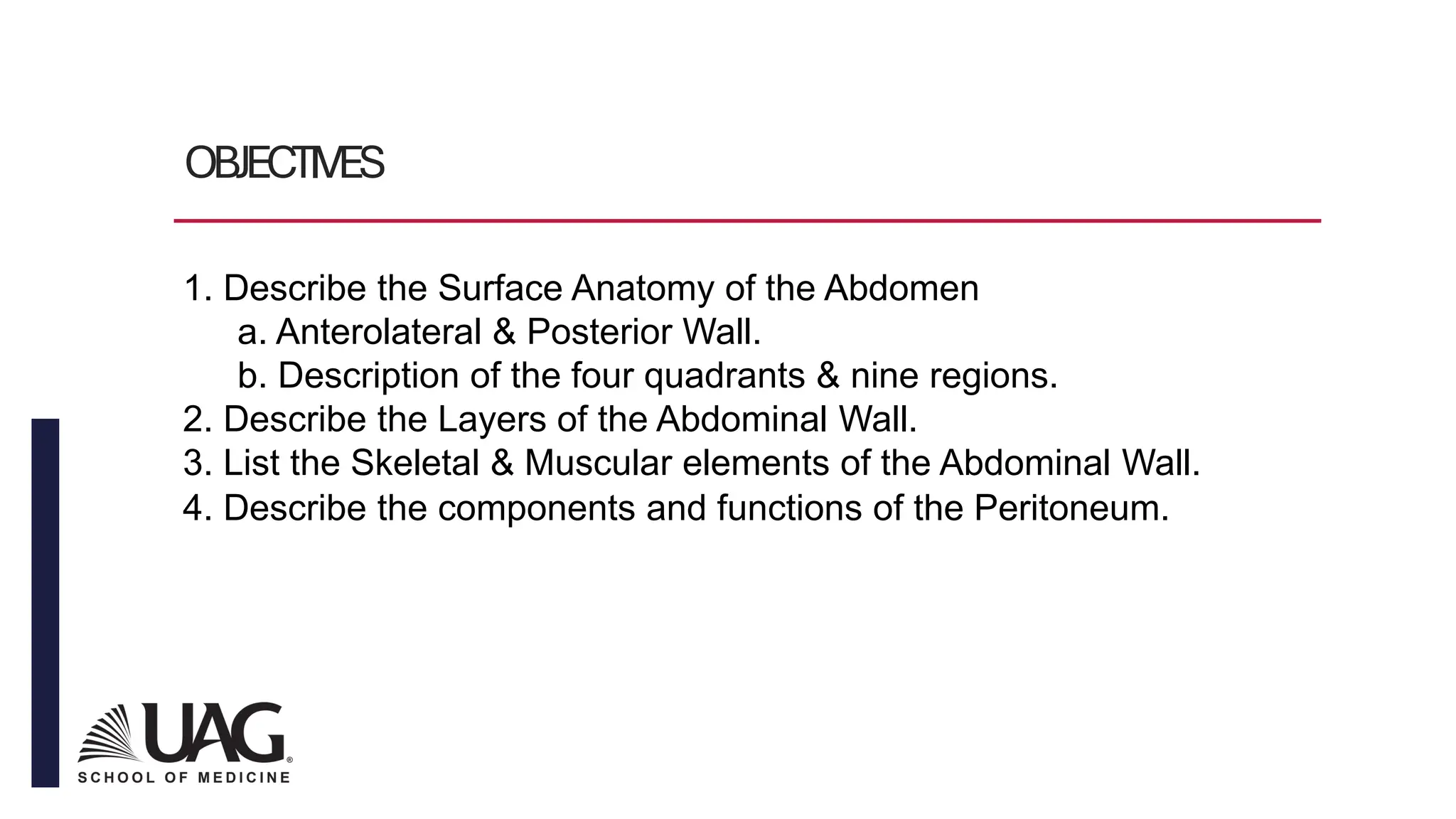 Abdominal Wall anddd Cavity Fall 2024.pdf