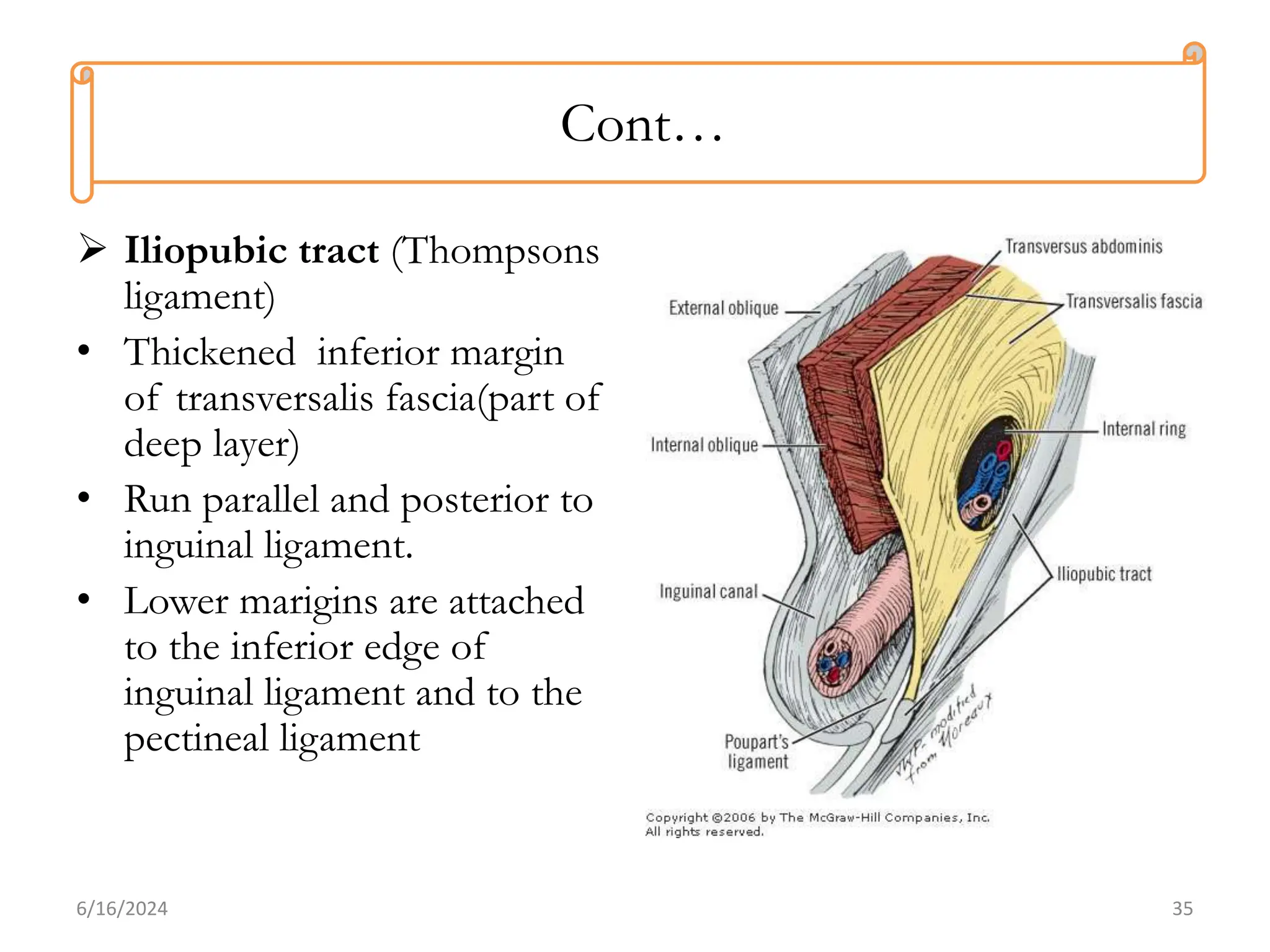 Abdominal wall and inguinal region anatomy.pptx