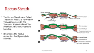 abdominal wall component separation.pptx
