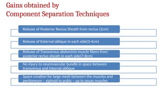 abdominal wall component separation.pptx