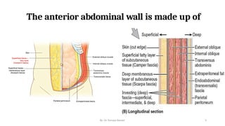 abdominal wall component separation.pptx