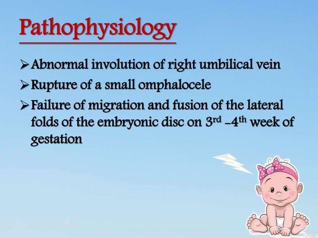 Abdominal wall defect | PPTX