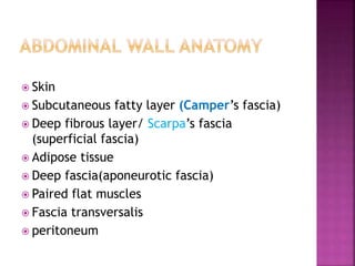 Transversalis Fascia Defects