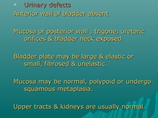 Abdominal wall defects | PPT