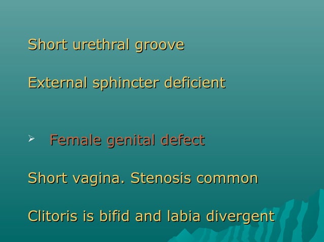 Abdominal wall defects | PPT