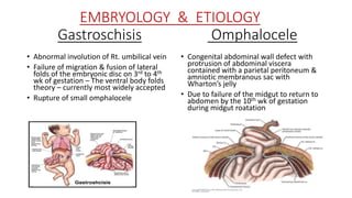 Abdominal wall defects (dr.tanvir) | PPTX