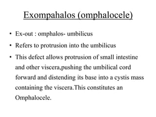 Abdominal wall defects in young children.pptx