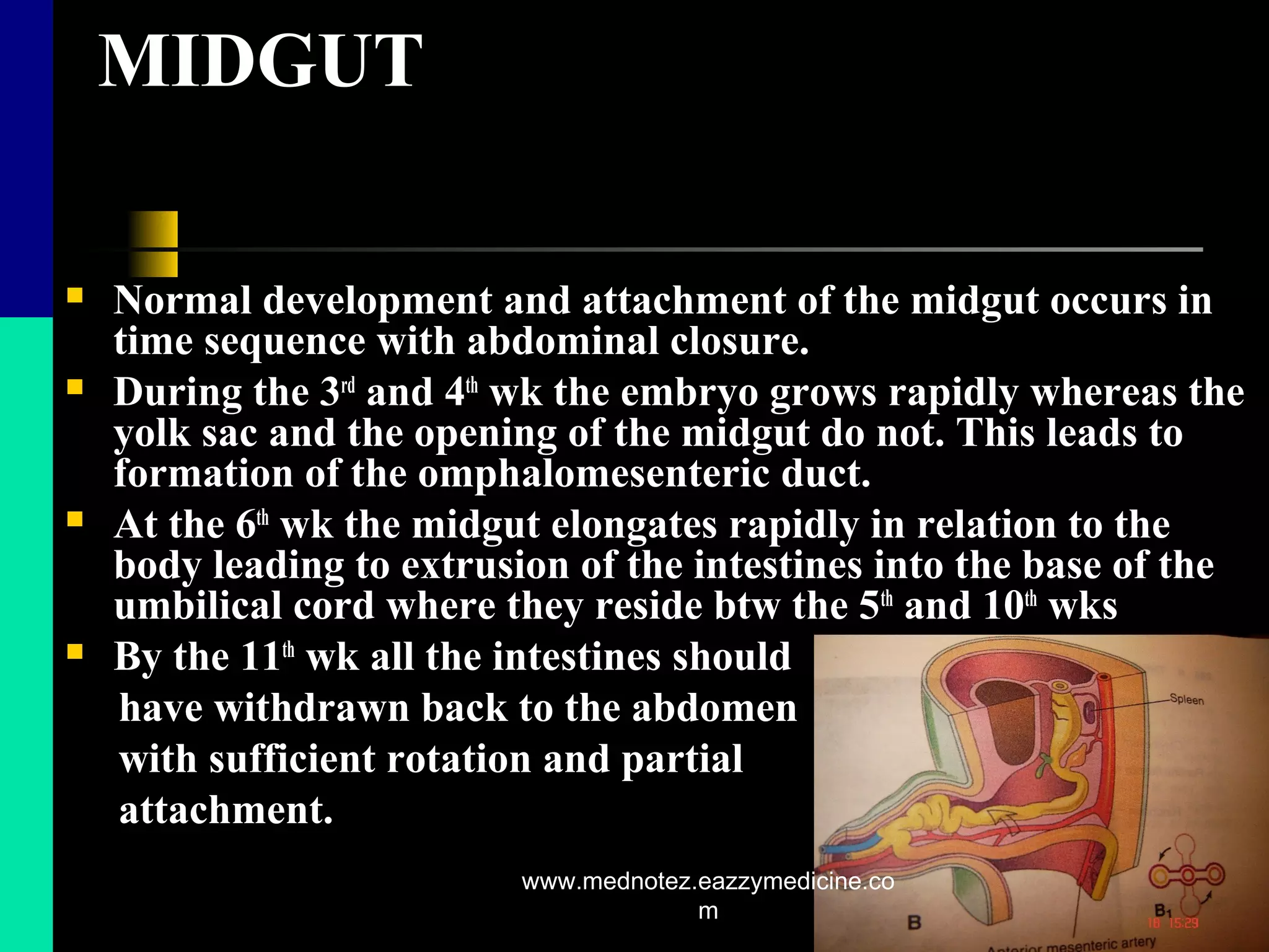 Abdominal wall defects pesantation | PPT