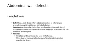 abdominal wall defects pp radiology pediatrics | PPTX
