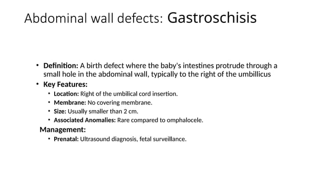 abdominal wall defects pp radiology pediatrics | PPT