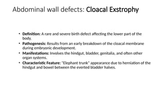abdominal wall defects pp radiology pediatrics | PPTX