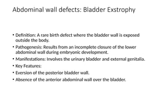 abdominal wall defects pp radiology pediatrics | PPTX