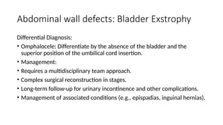 abdominal wall defects pp radiology pediatrics | PPTX