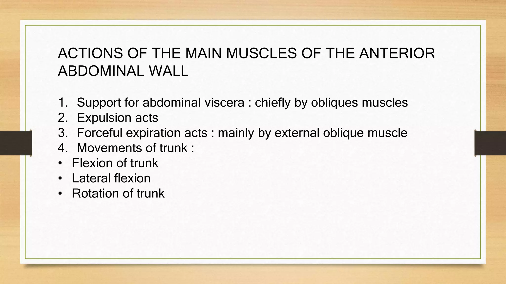 abdominal wall final (1).pptx