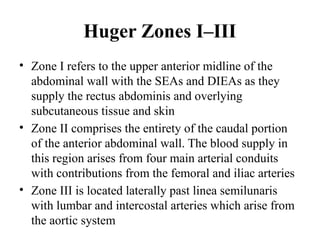 abdominal wall hernias136789688588588.pptx