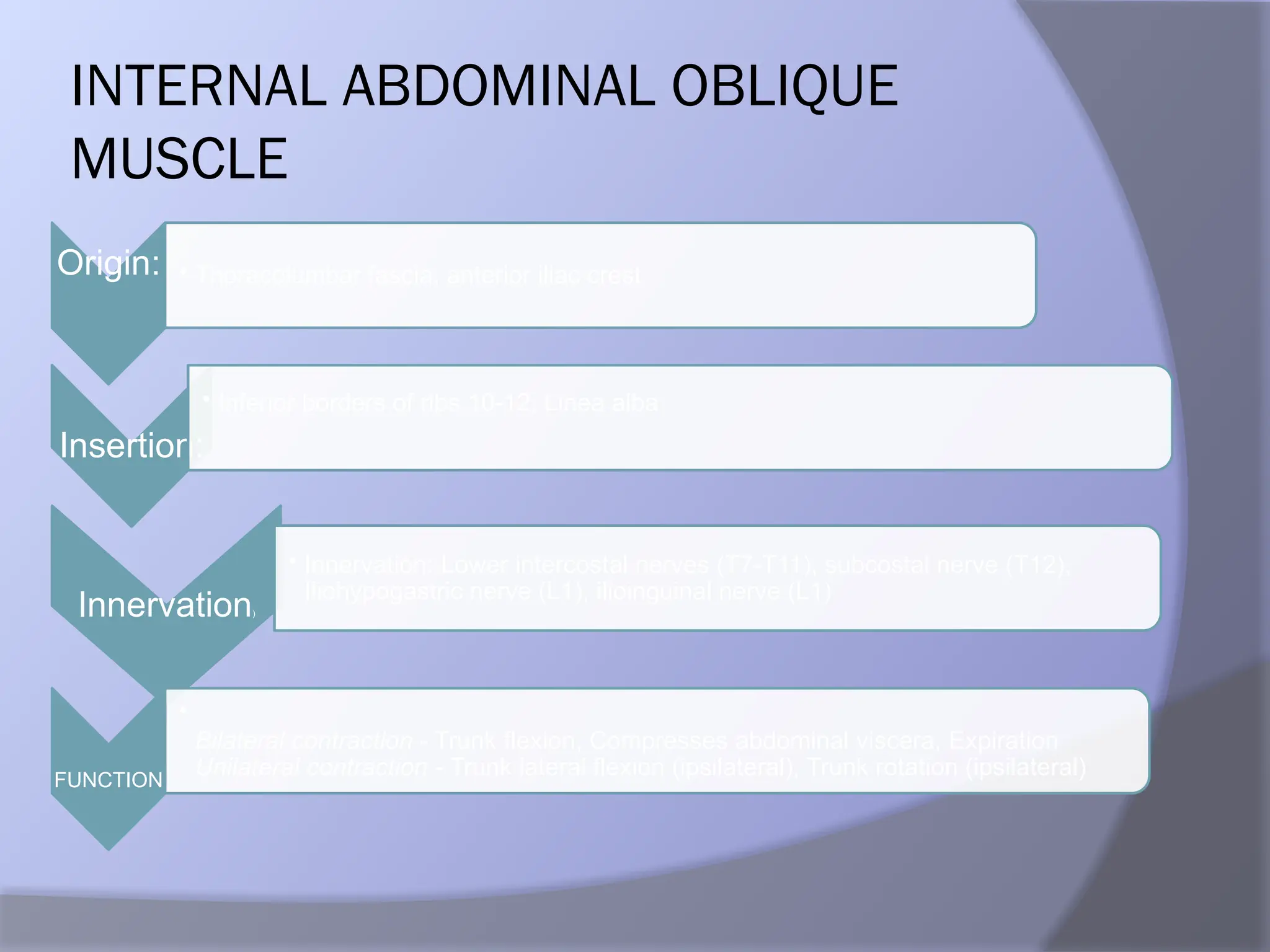 Abdominal wall in our body and researchs | PPTX