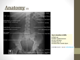Abdominal x ray . axr | PPTX