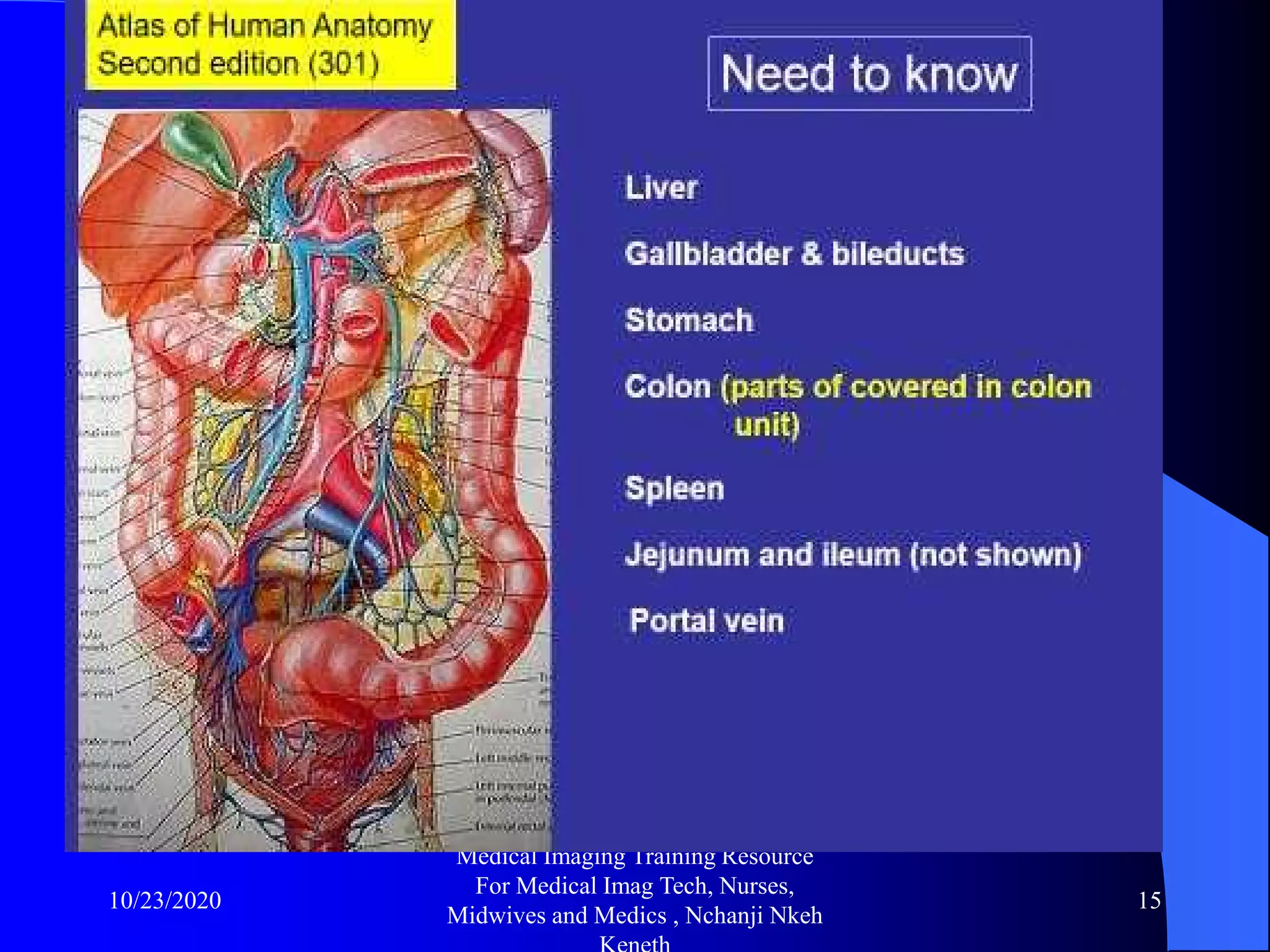 Abdominal x ray axr radiology training resource nchanji nkeh keneth | PDF