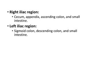 Abdominopelvic quadrants and regions.pptx | Reproductive Health ...