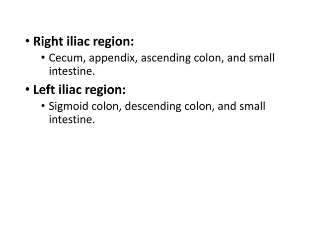 Abdominopelvic quadrants and regions.pptx | Reproductive Health ...