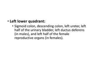Abdominopelvic quadrants and regions.pptx
