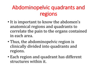 Abdominopelvic quadrants and regions.pptx | Reproductive Health ...