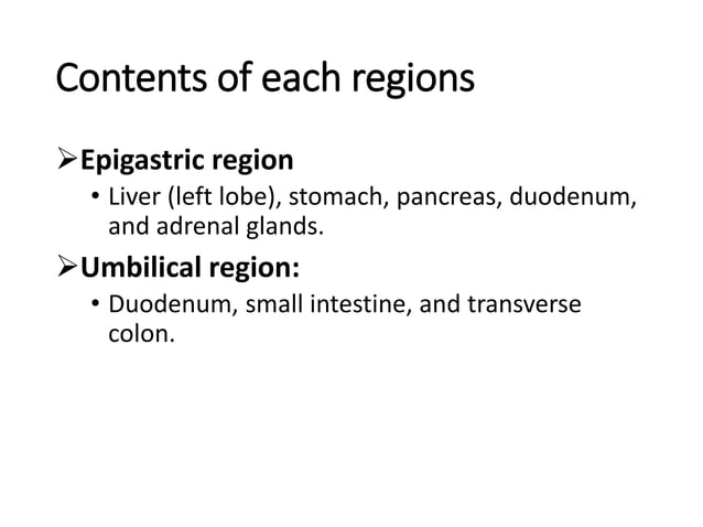 Abdominopelvic quadrants and regions.pptx | Reproductive Health ...
