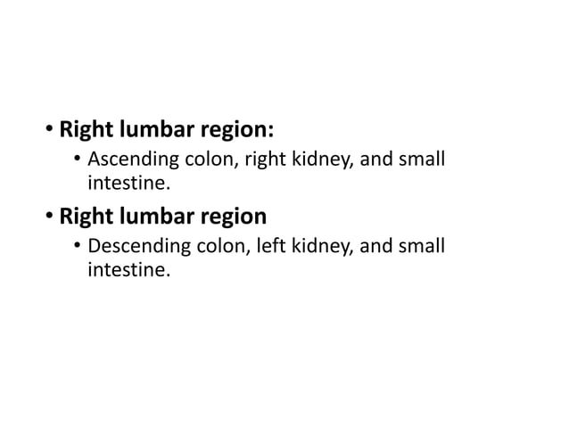 Abdominopelvic quadrants and regions.pptx | Reproductive Health ...