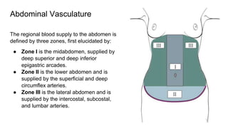 Anatomy of Abdominal wall and Abdominoplasty | PPTX