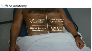 abdominal assessment | PPTX