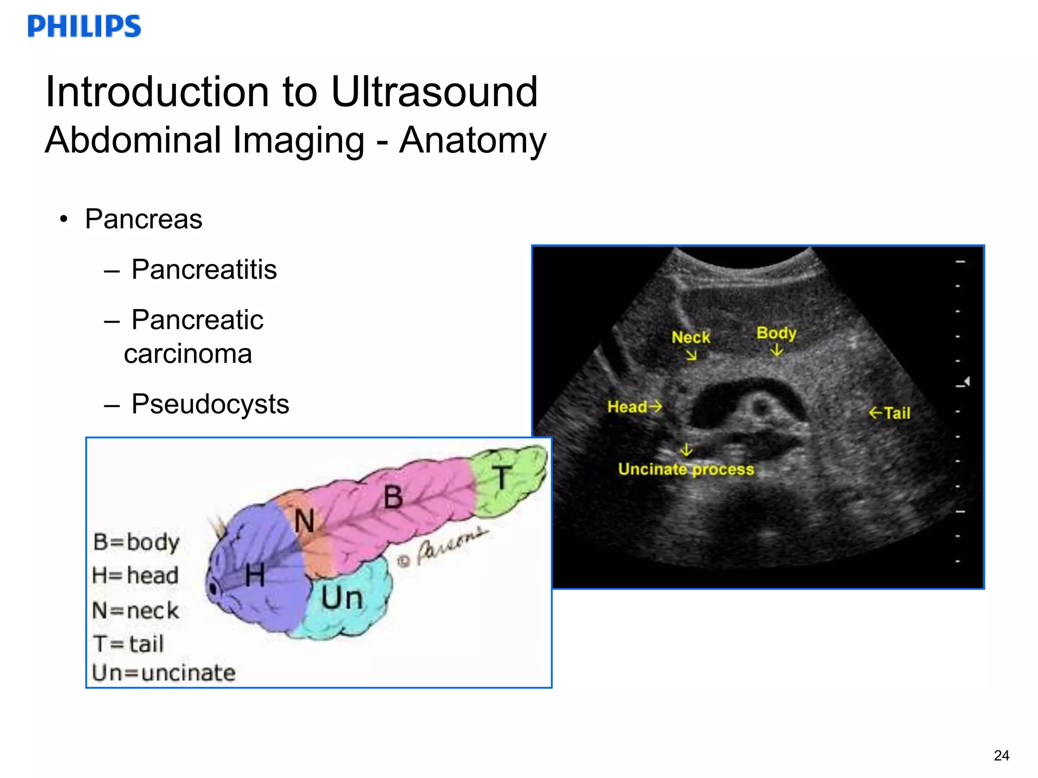 Abdo, smp, msk, vasc routine exams anatomy | PPTX