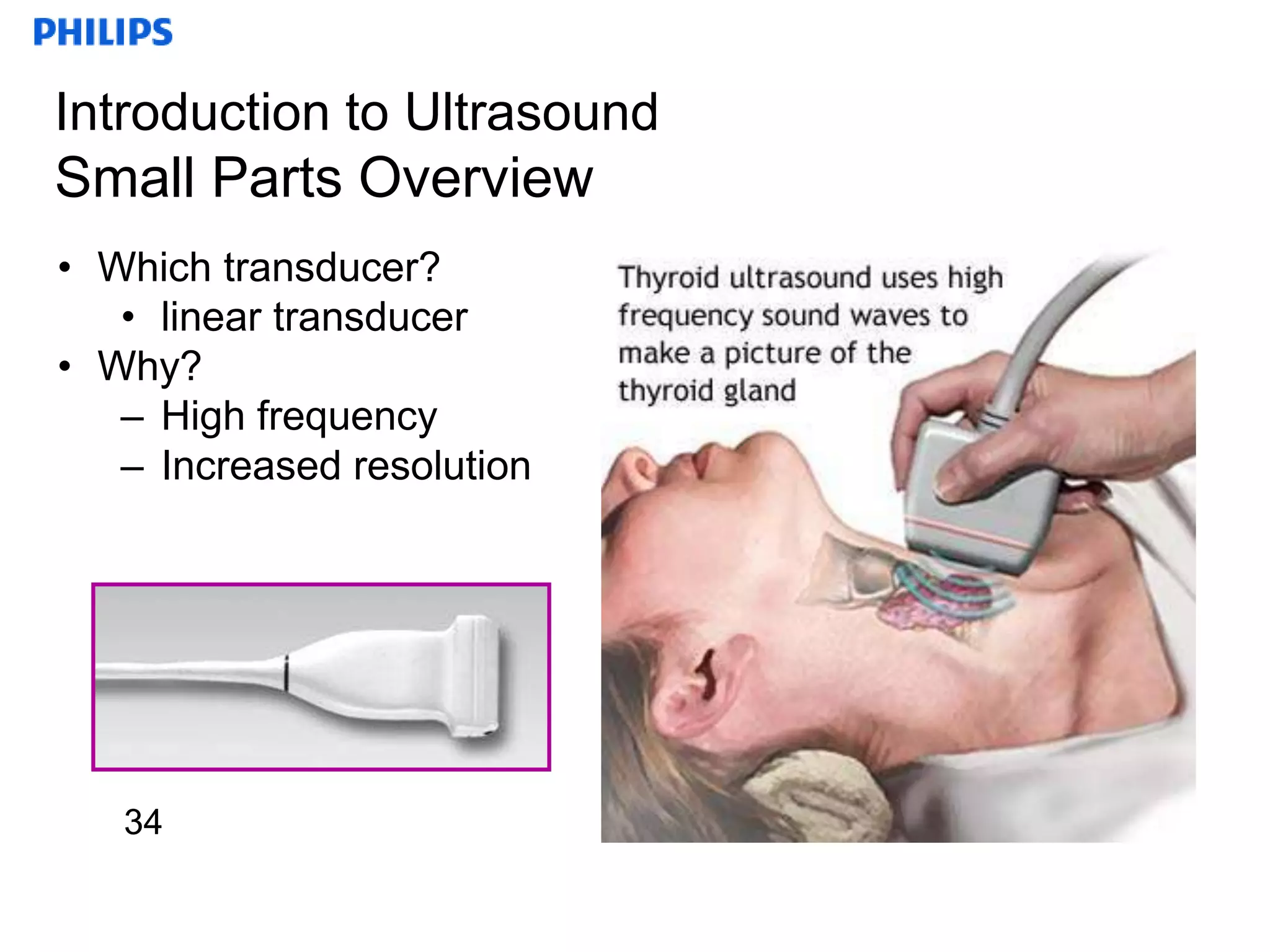 Abdo, smp, msk, vasc routine exams anatomy | PPTX