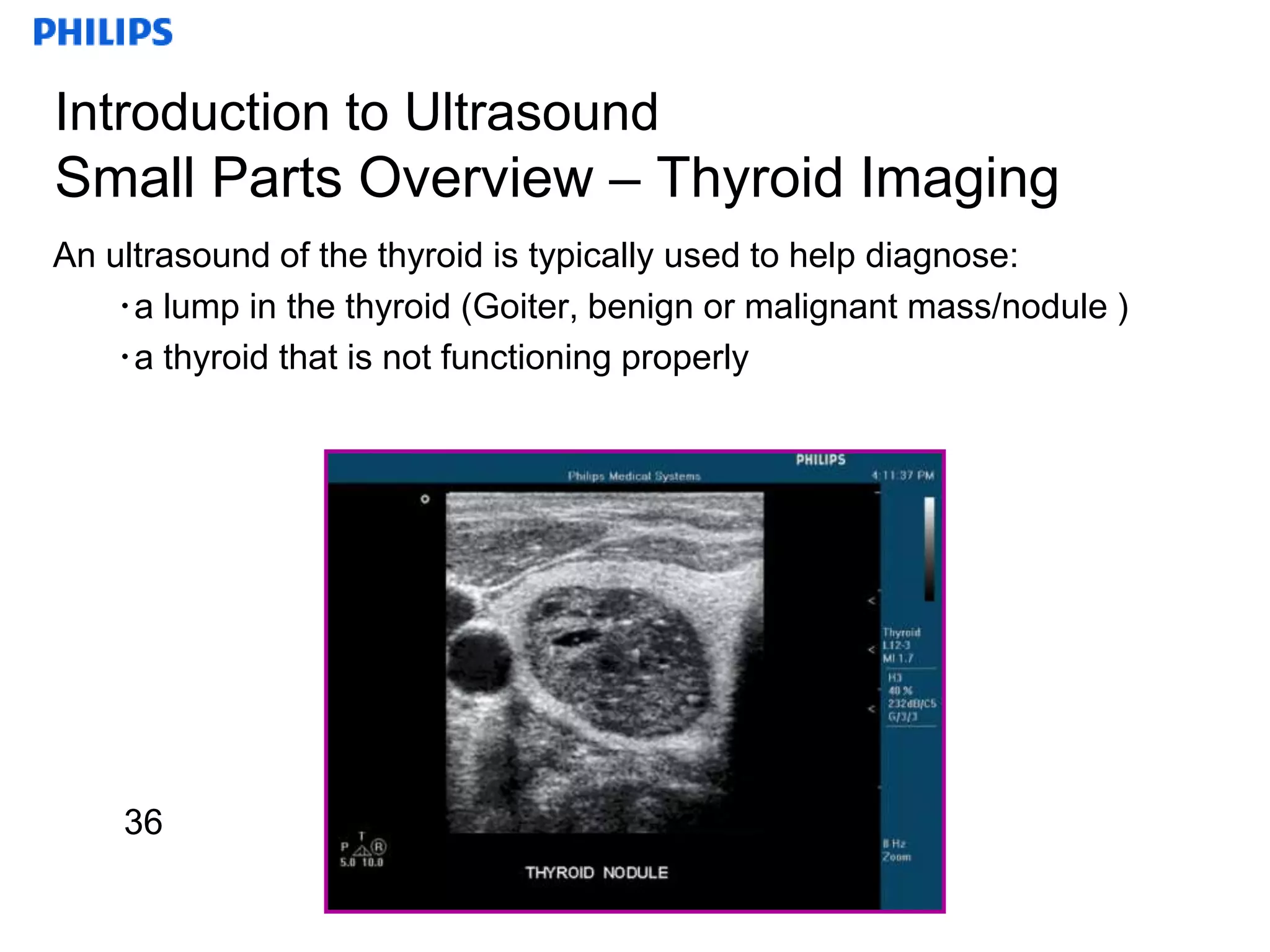 Abdo, smp, msk, vasc routine exams anatomy | PPTX