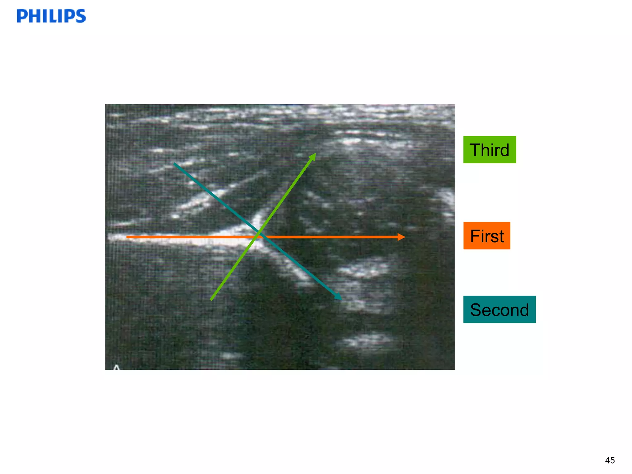 Abdo, smp, msk, vasc routine exams anatomy | PPTX