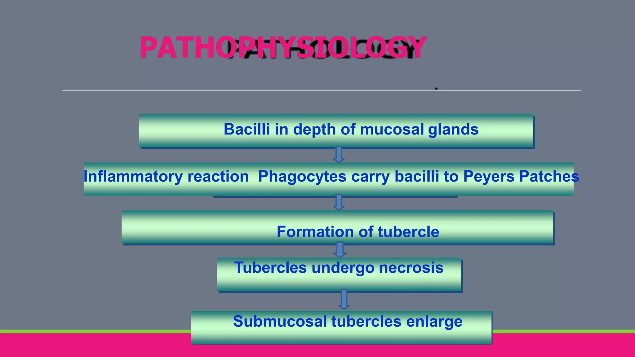 Abdominal Tuberculosis | PPT