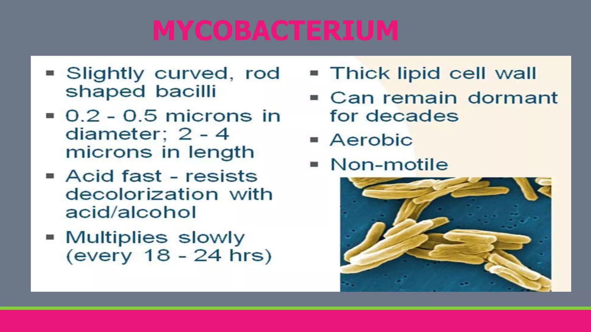Abdominal Tuberculosis | PPTX