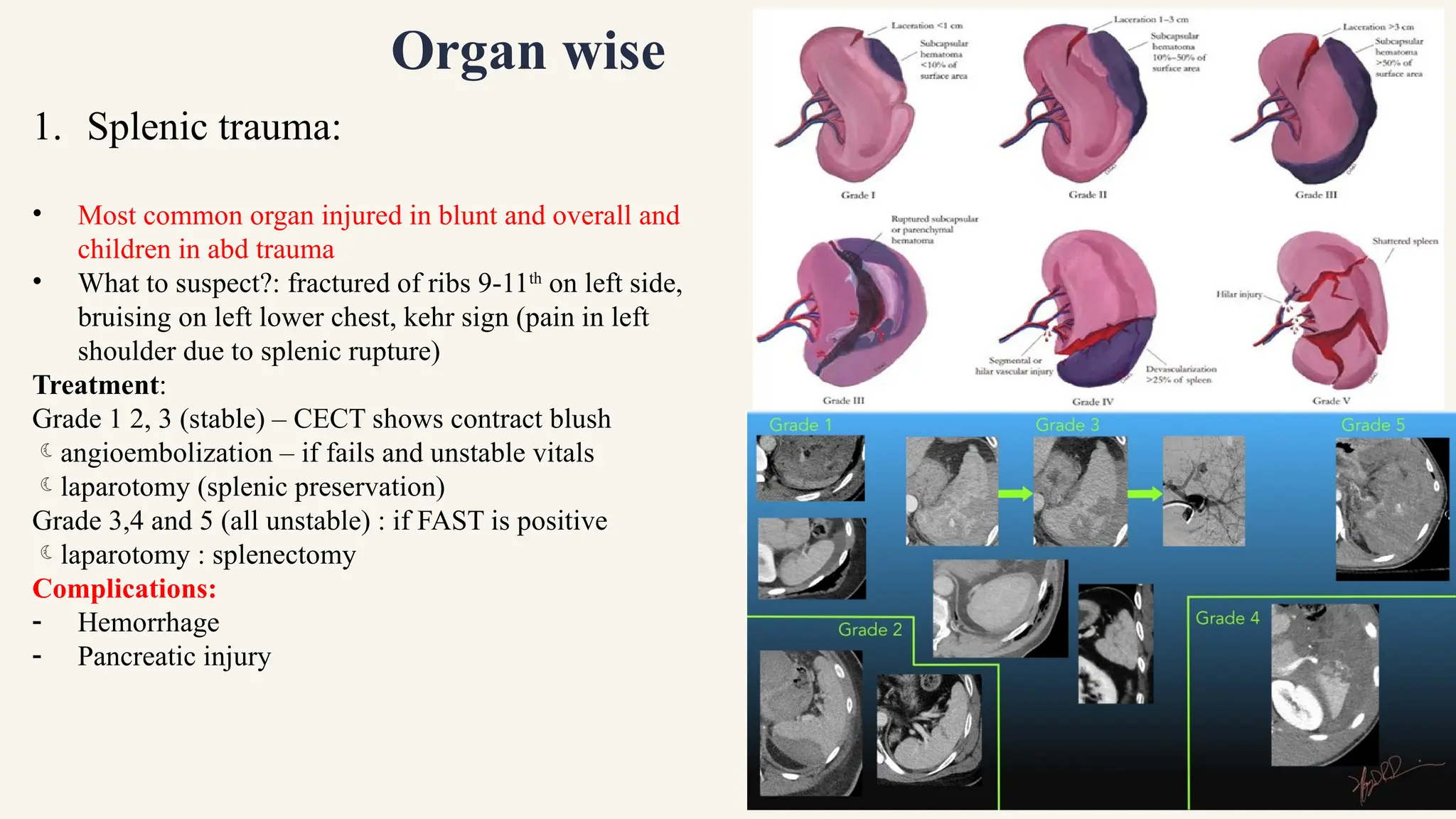 abdominal trauma basics, diagnosis, treatment, organ wise ...